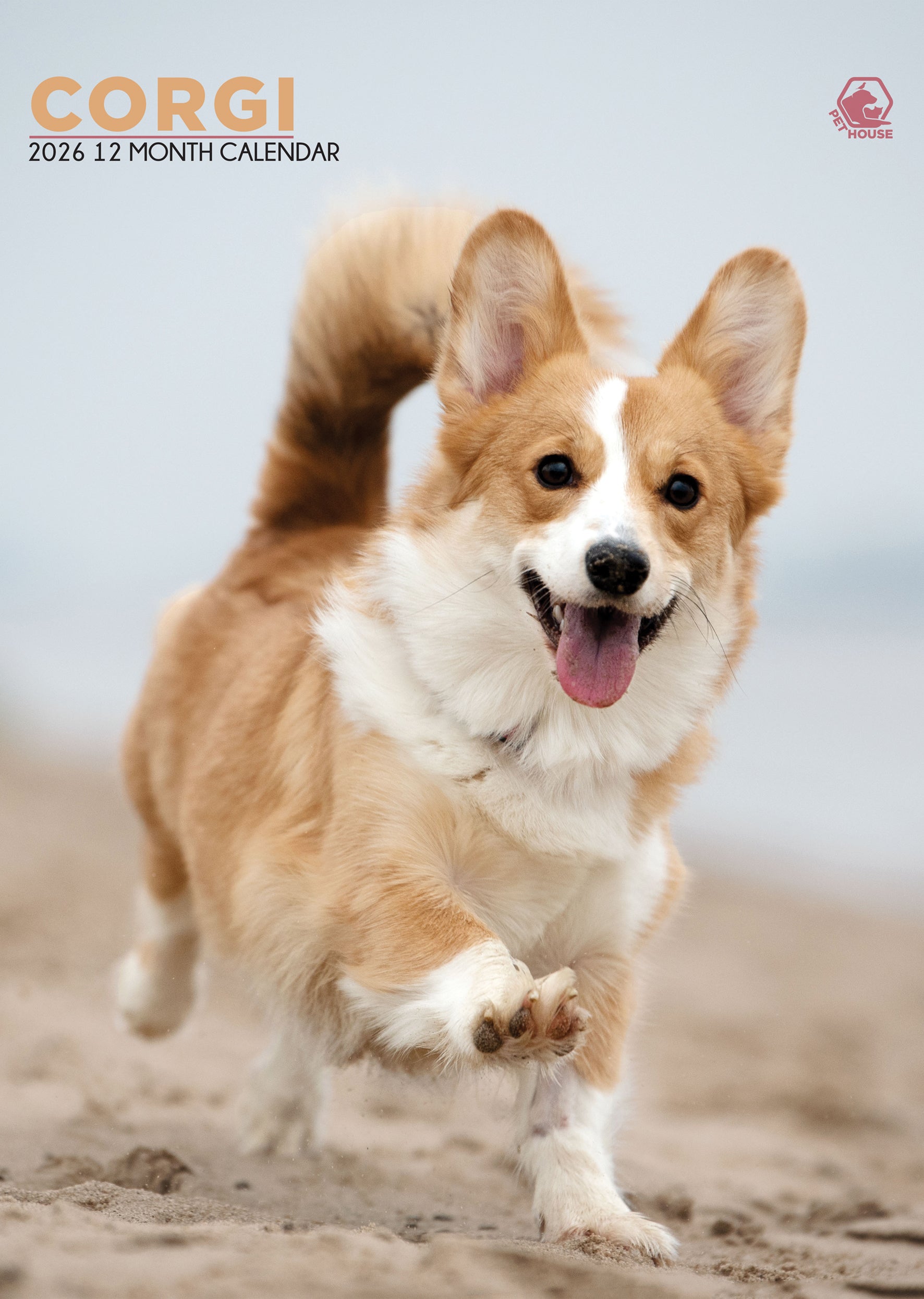 Corgi - A3 Calendar 2026 – CalendarsRus