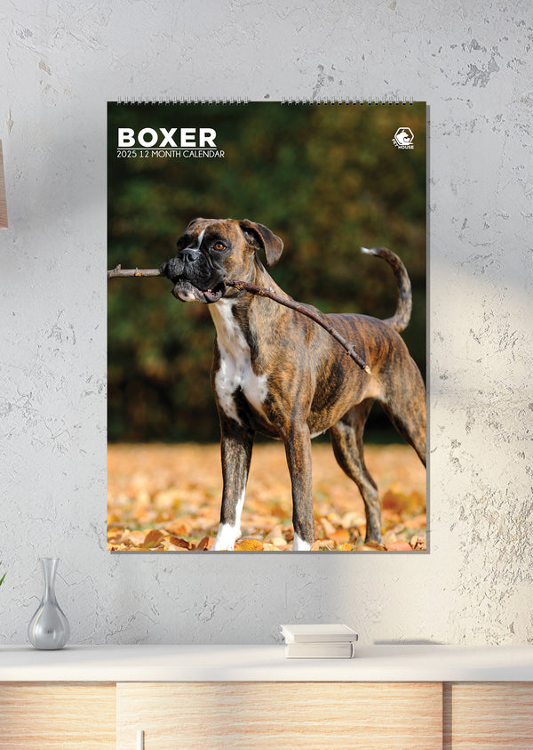 Boxer Calendar 2025 – CalendarsRus