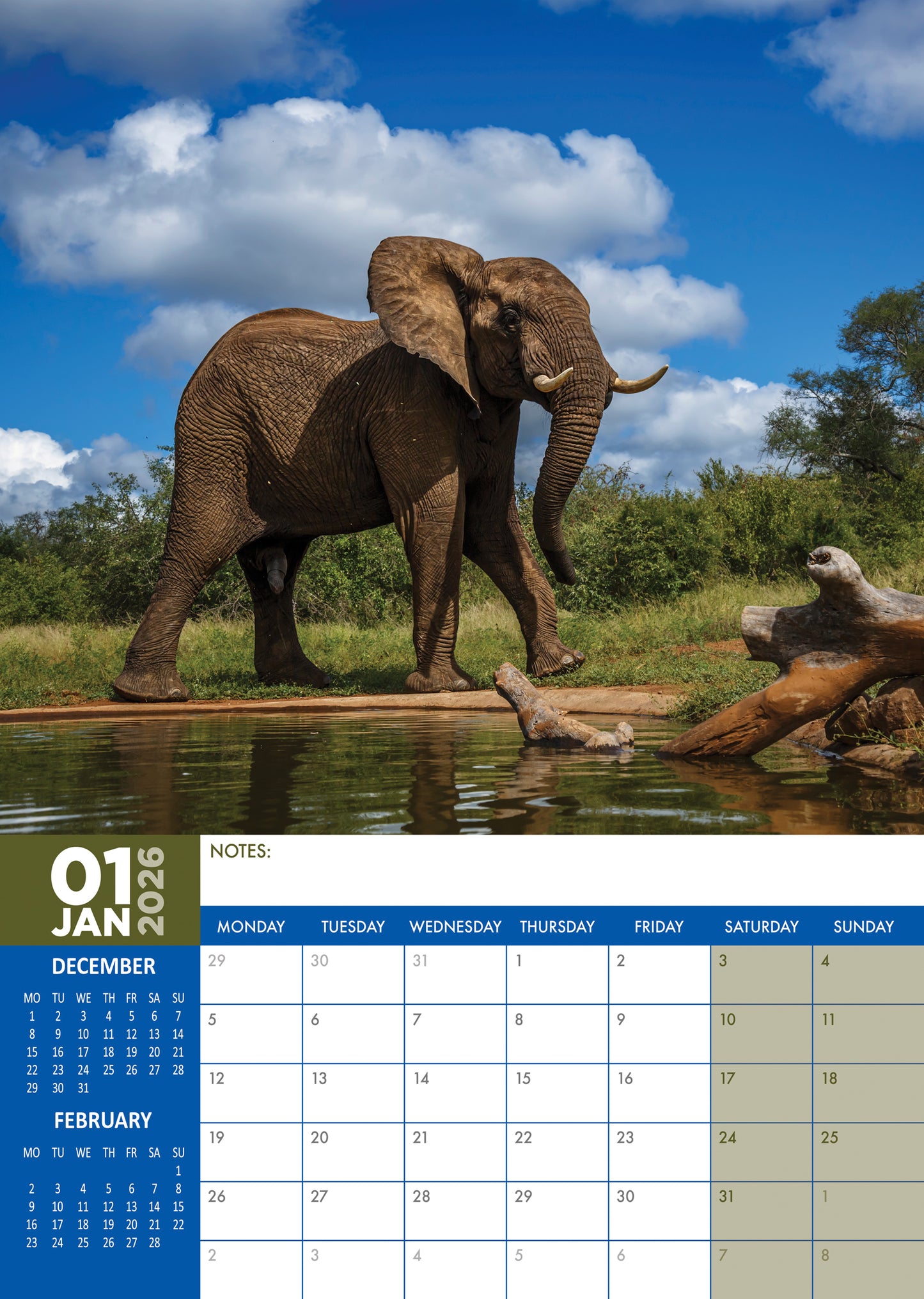 Elephants - Calendar 2026 – CalendarsRus