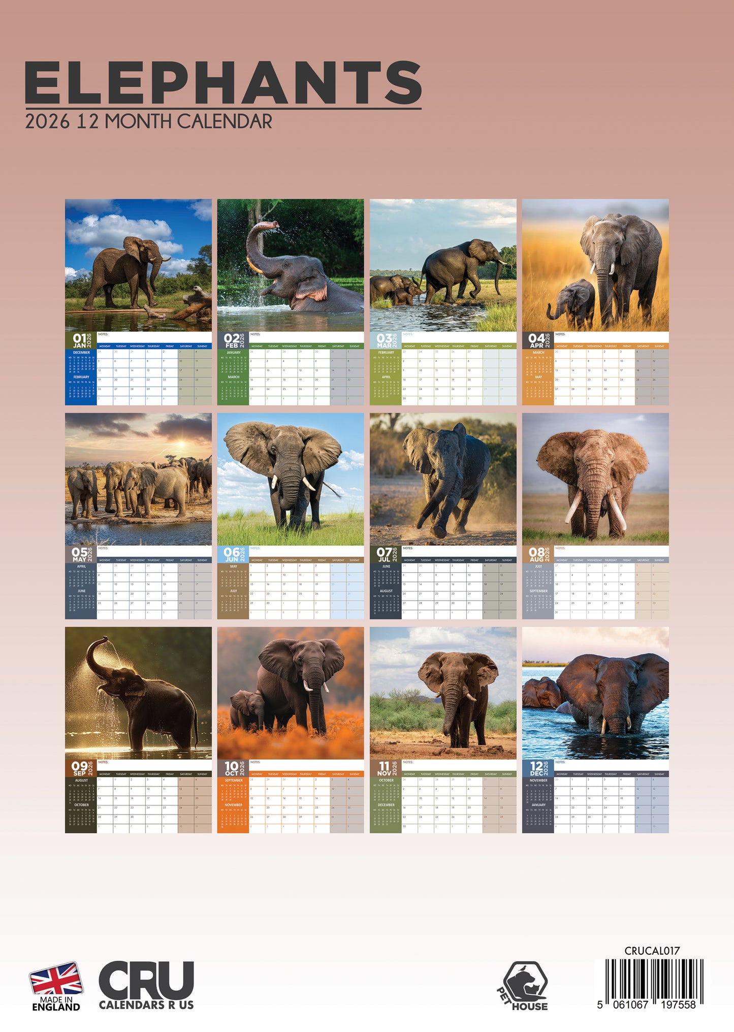 Elephants - Calendar 2026 – CalendarsRus