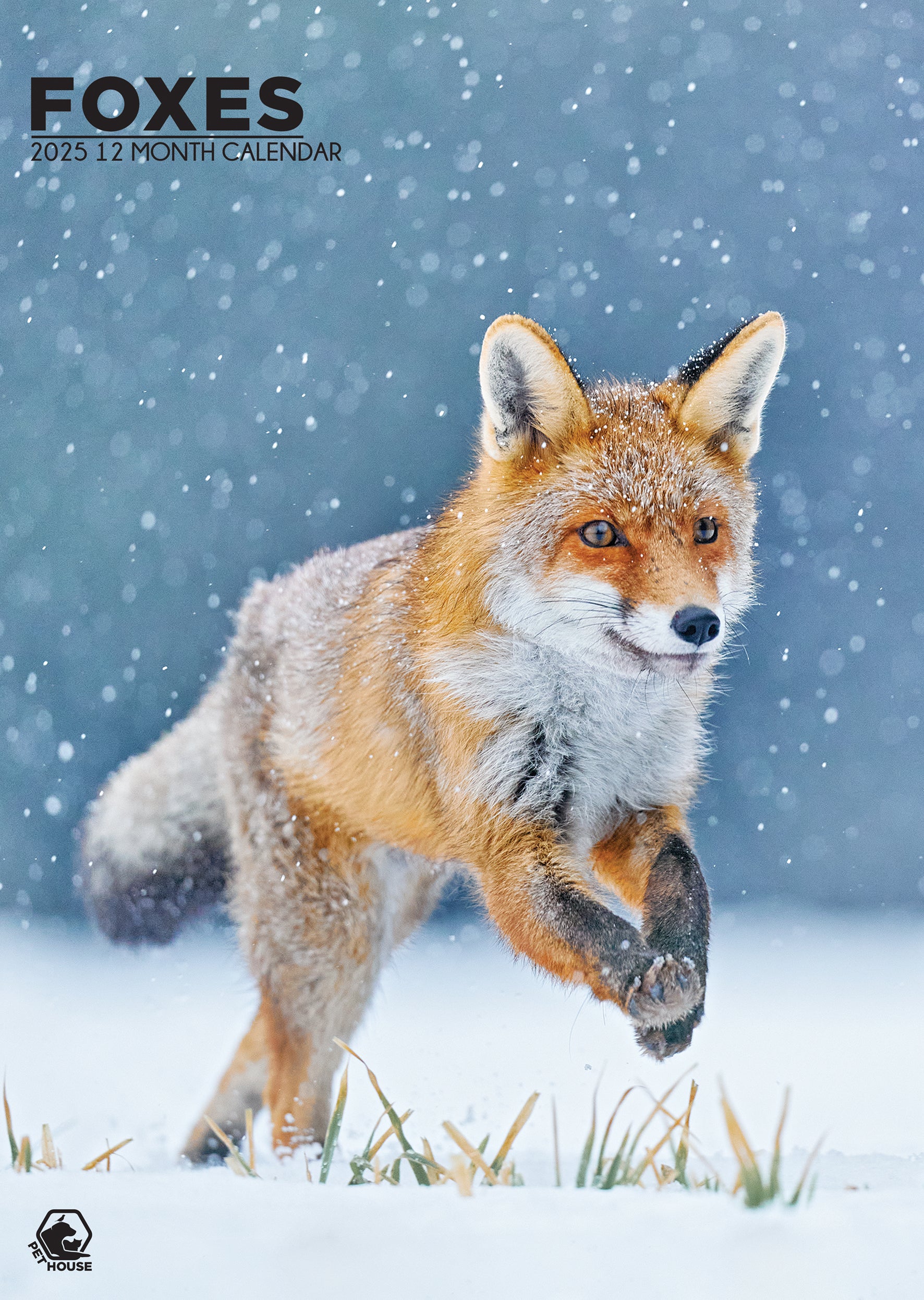 Foxes Calendar 2025 – CalendarsRus