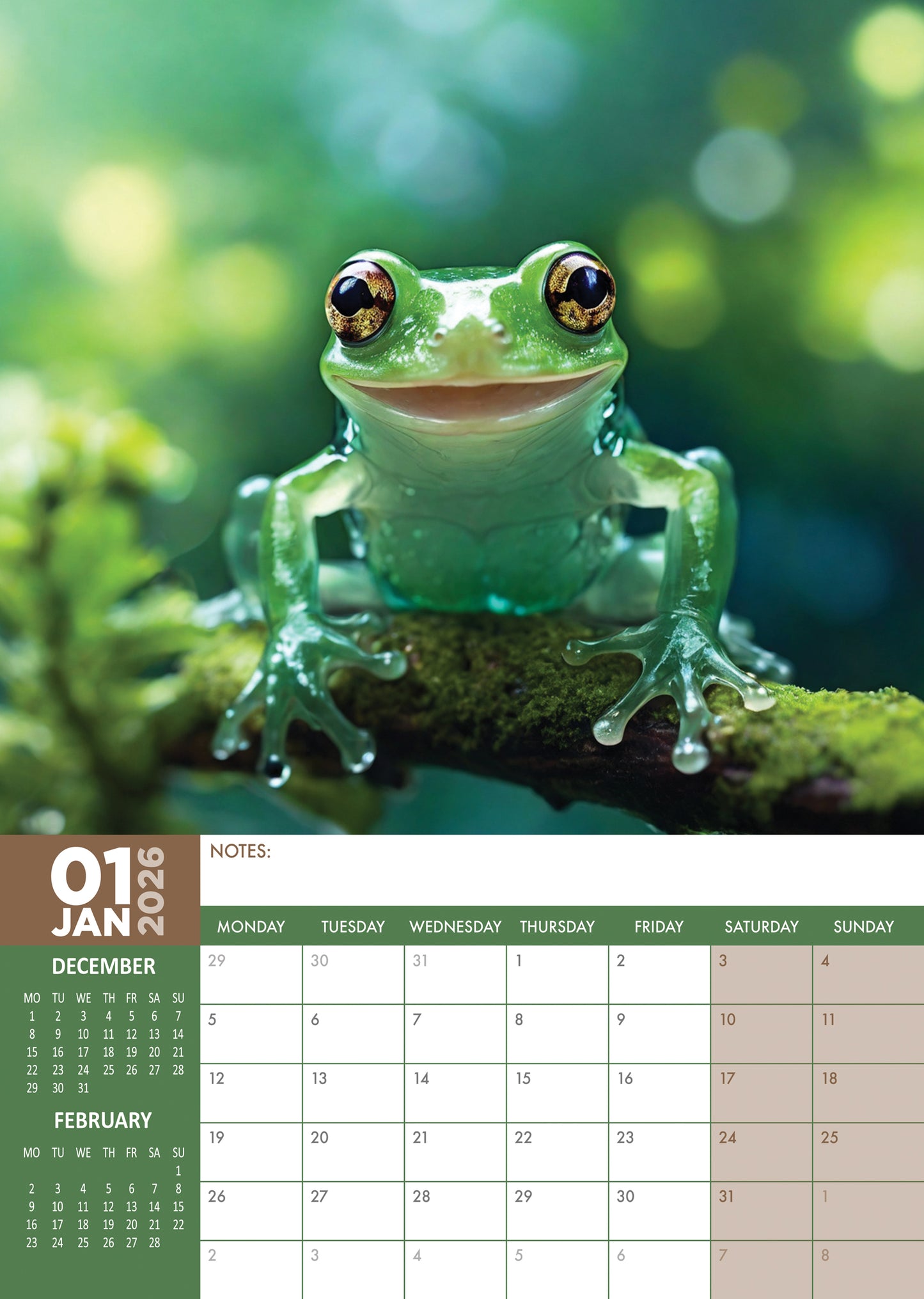 Frogs - A3 Calendar 2026 – CalendarsRus