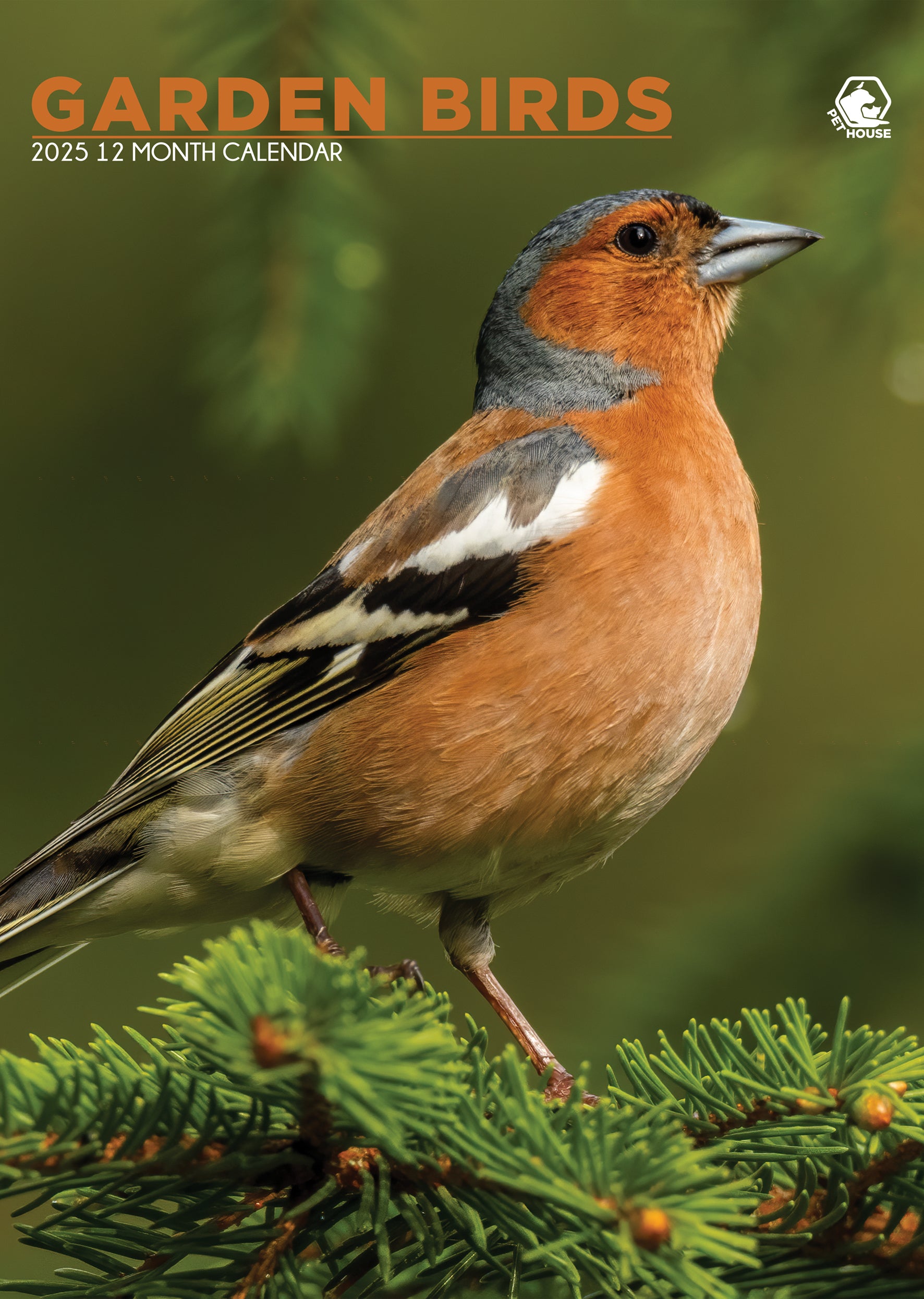 Garden Birds Calendar 2025 – CalendarsRus
