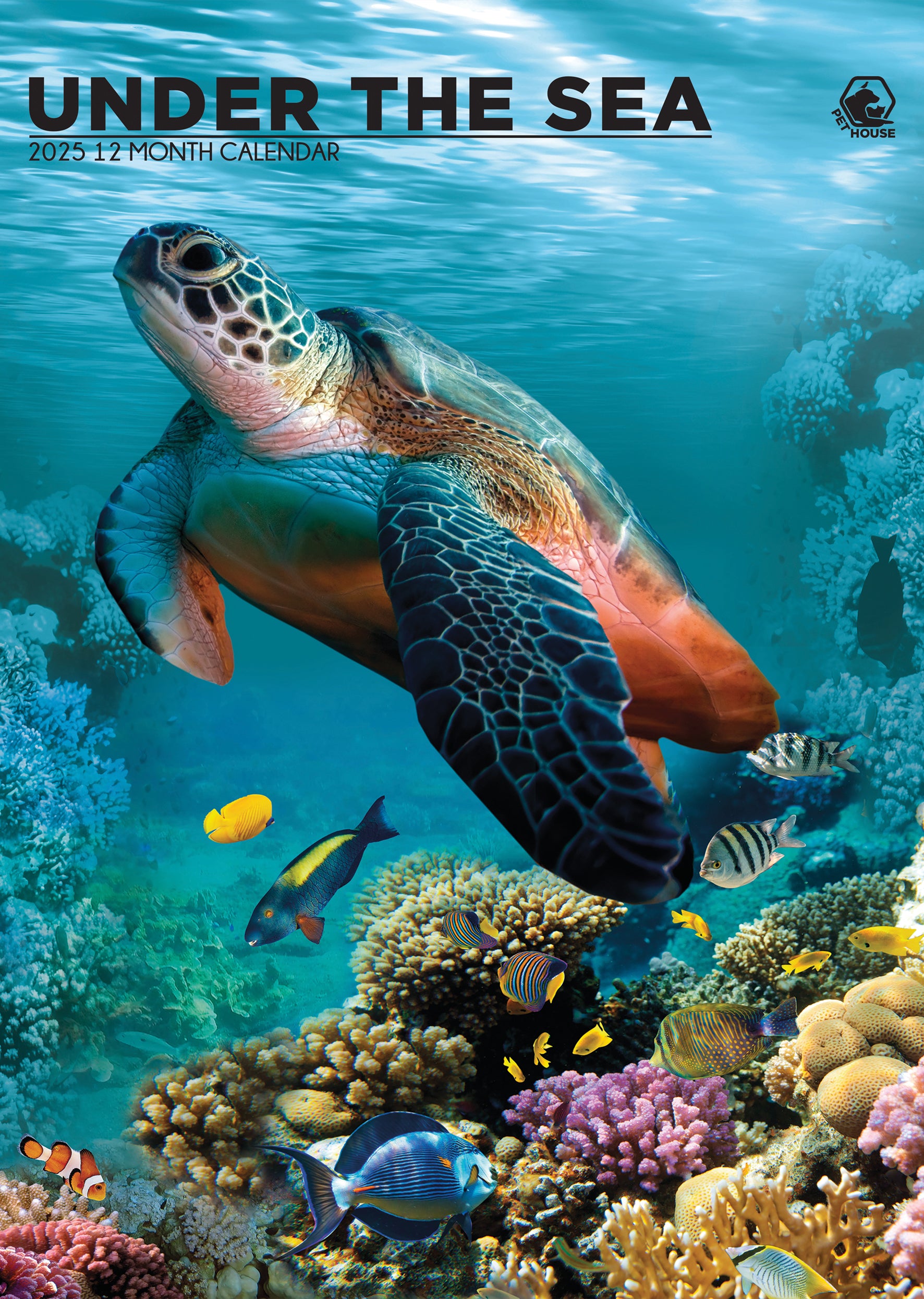 Under The Sea Calendar 2025 – CalendarsRus