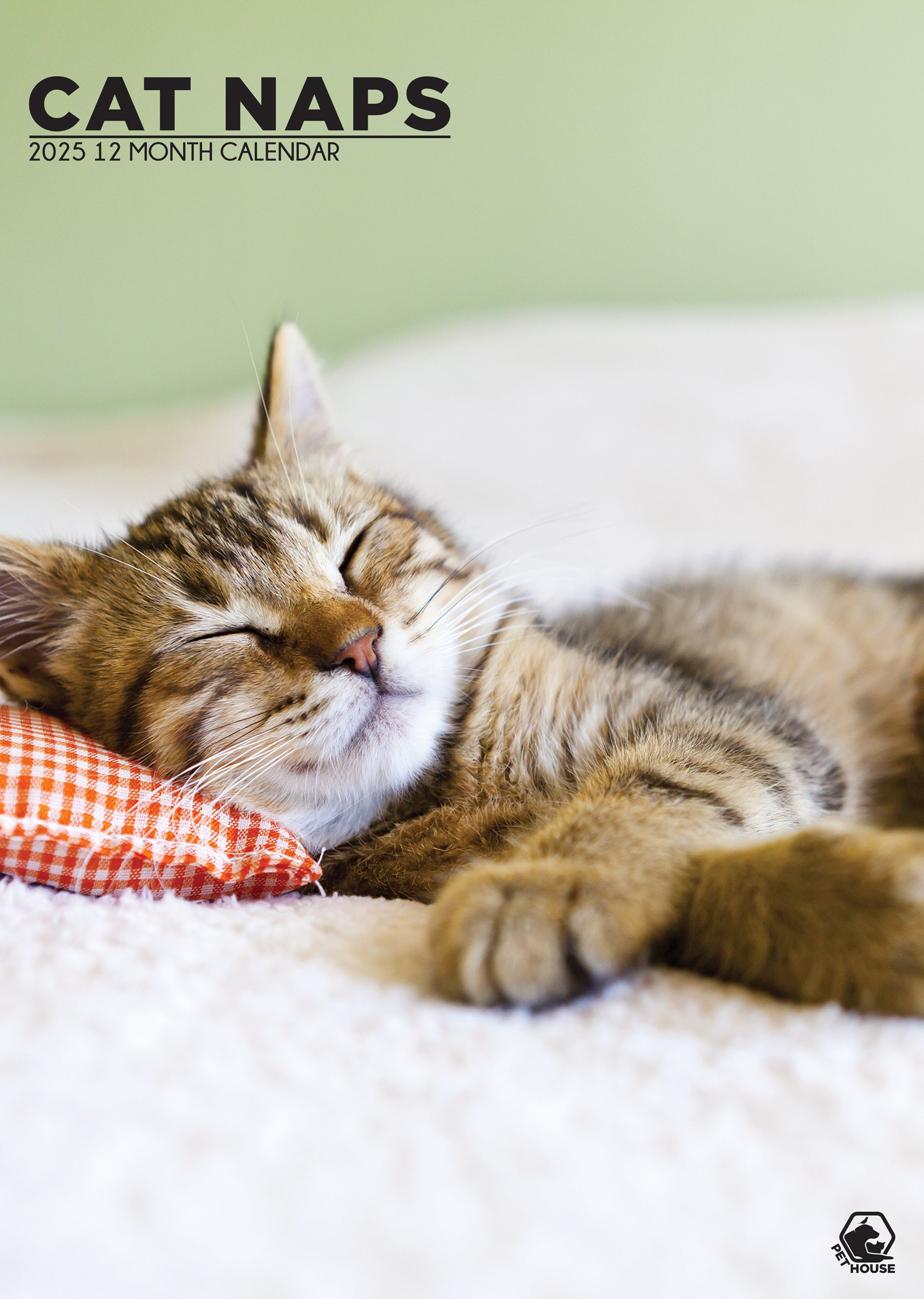 Cats Naps Calendar 2025 – CalendarsRus