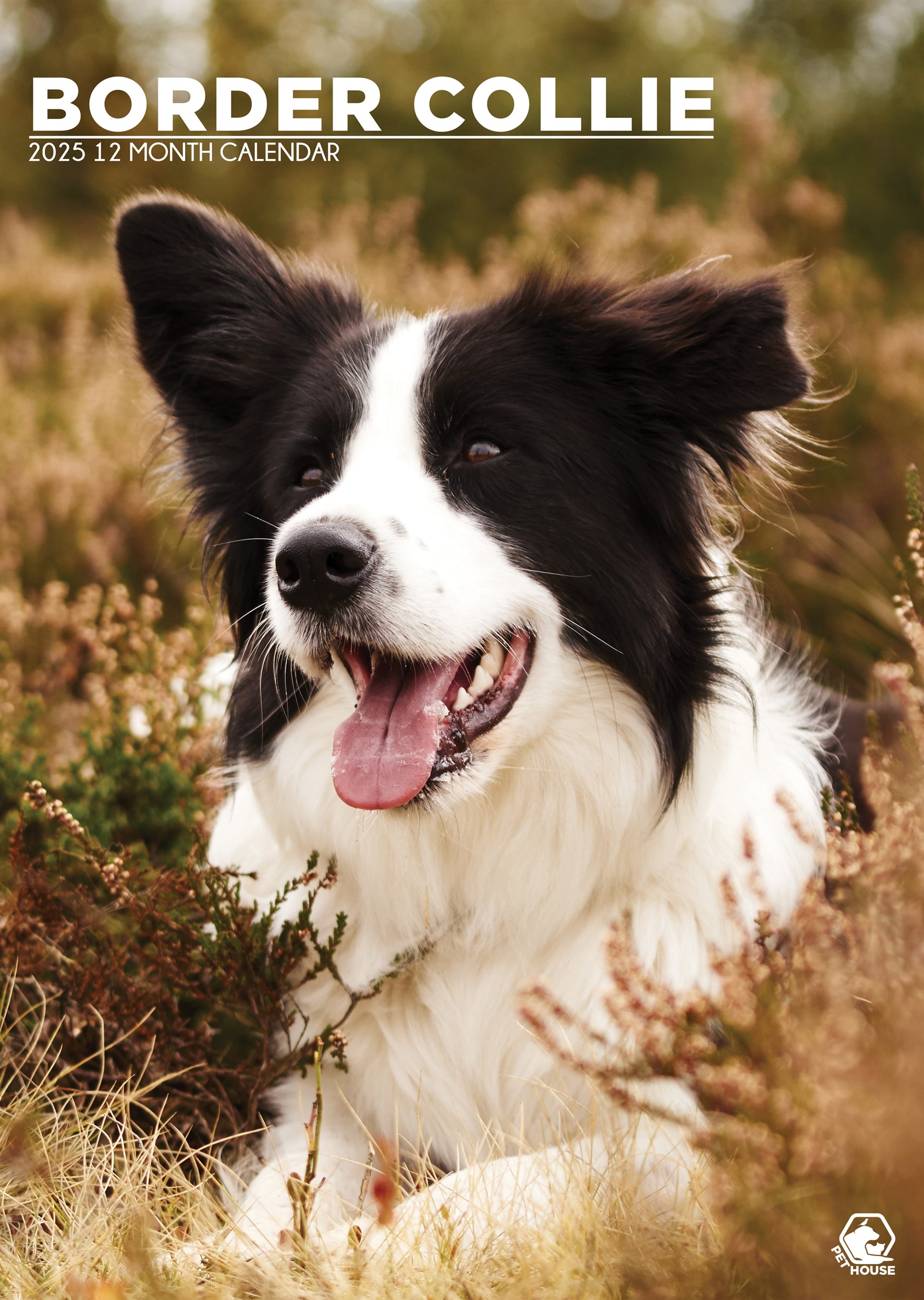 Border Collie Calendar 2025 – CalendarsRus