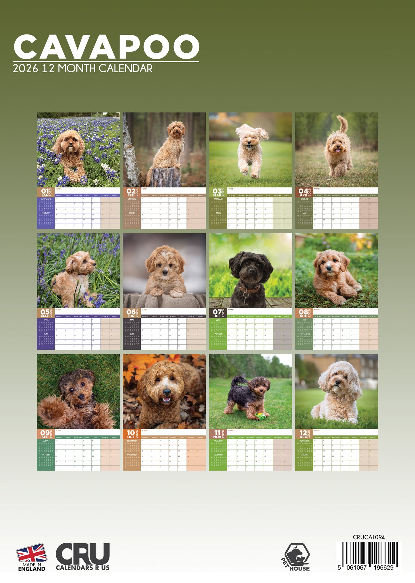 Cavapoo - A3 Calendar 2026 – CalendarsRus