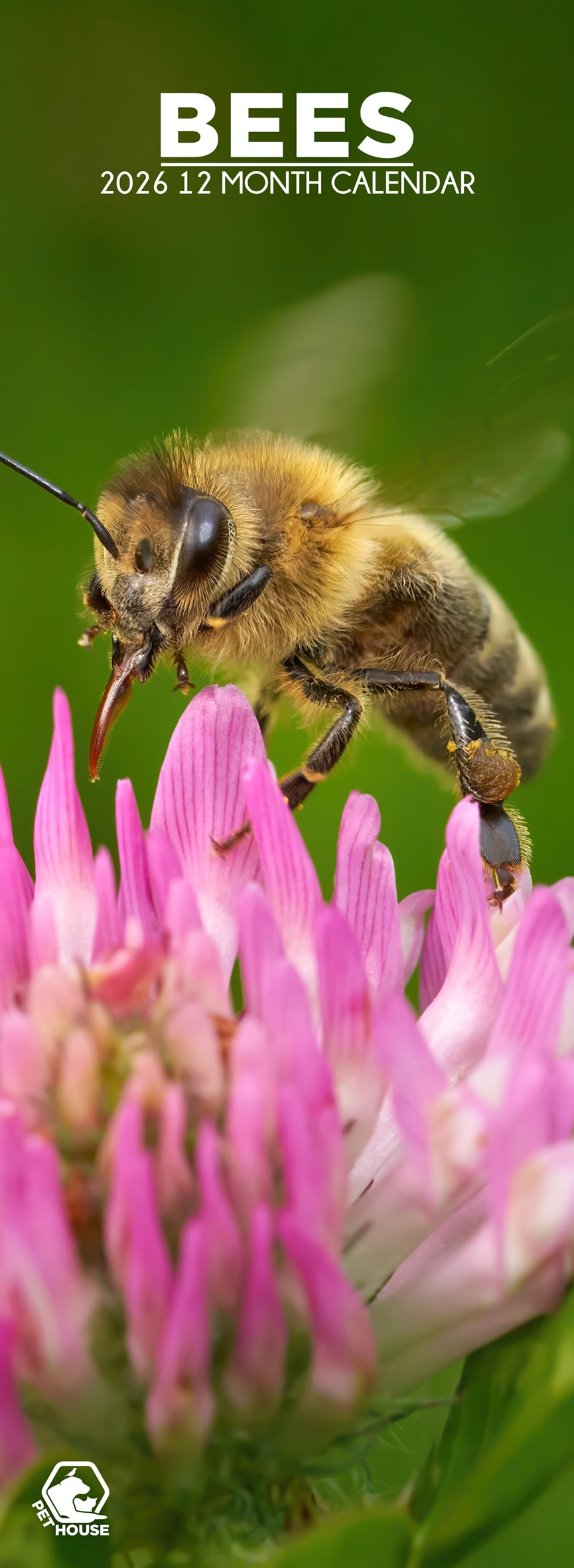 Bees - Slim Calendar 2026 – CalendarsRus