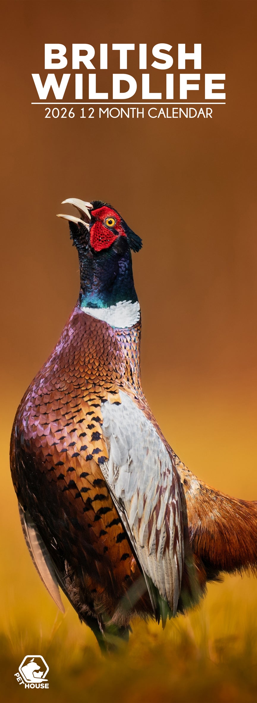 British Wildlife - Slim Calendar 2026 – CalendarsRus