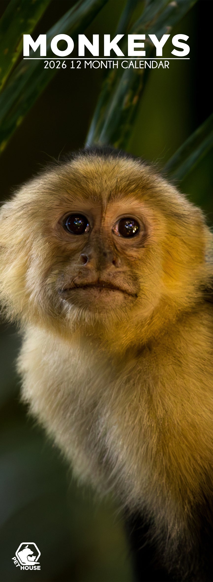 Monkeys - Slim Calendar 2026 – CalendarsRus