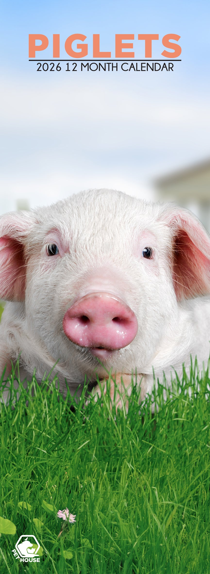 Piglets - Slim Calendar 2026 – CalendarsRus