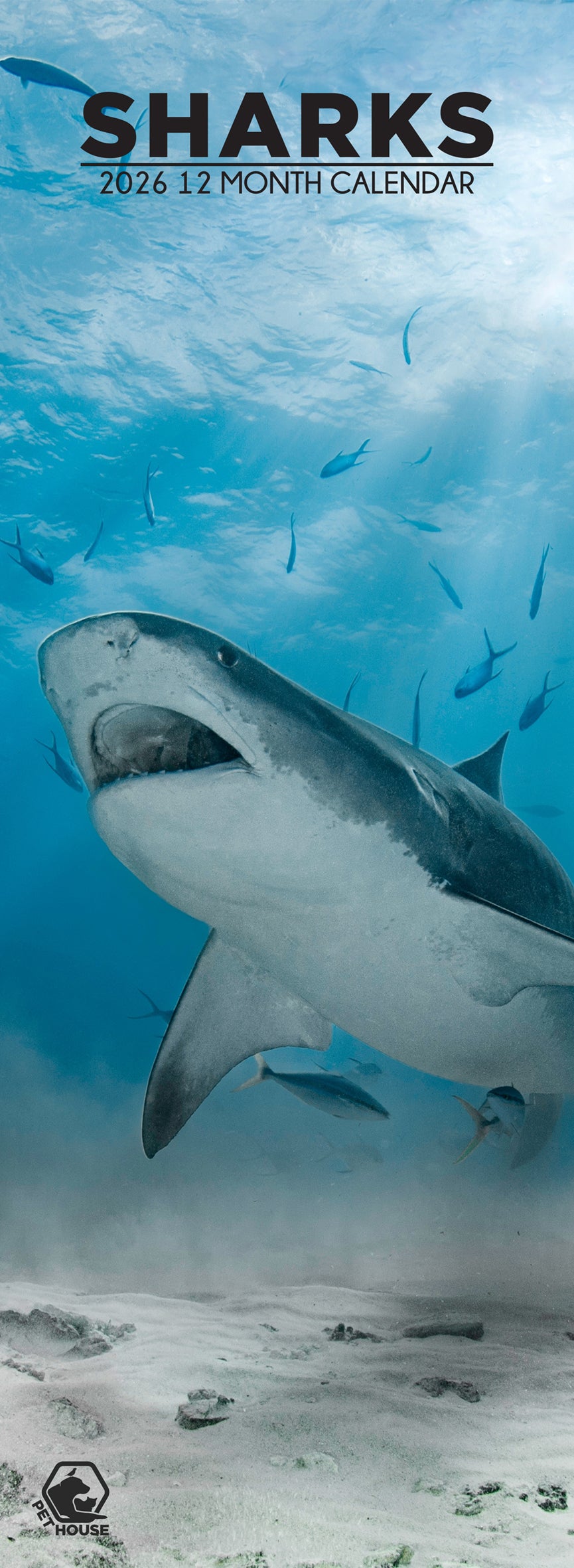 Sharks - Slim Calendar 2026 – CalendarsRus