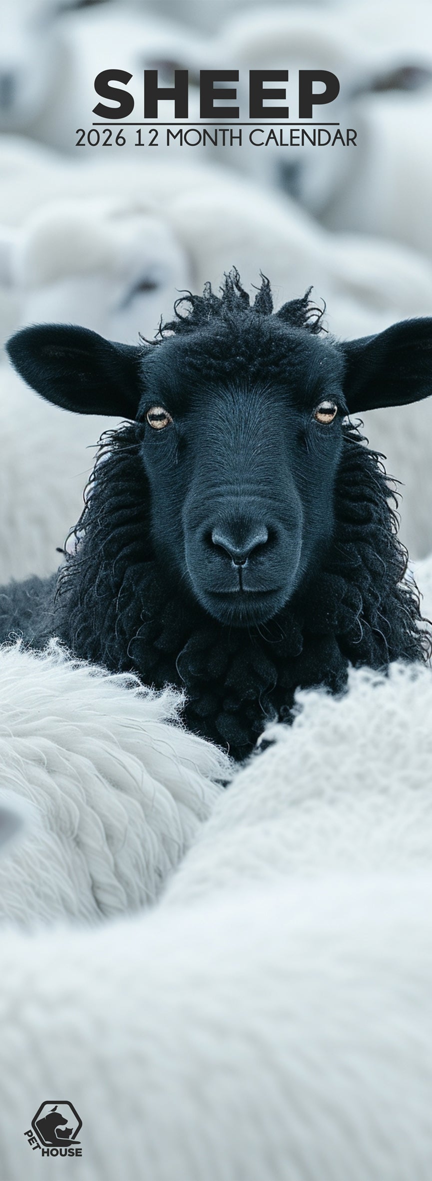 Sheep - Slim Calendar 2026 – CalendarsRus