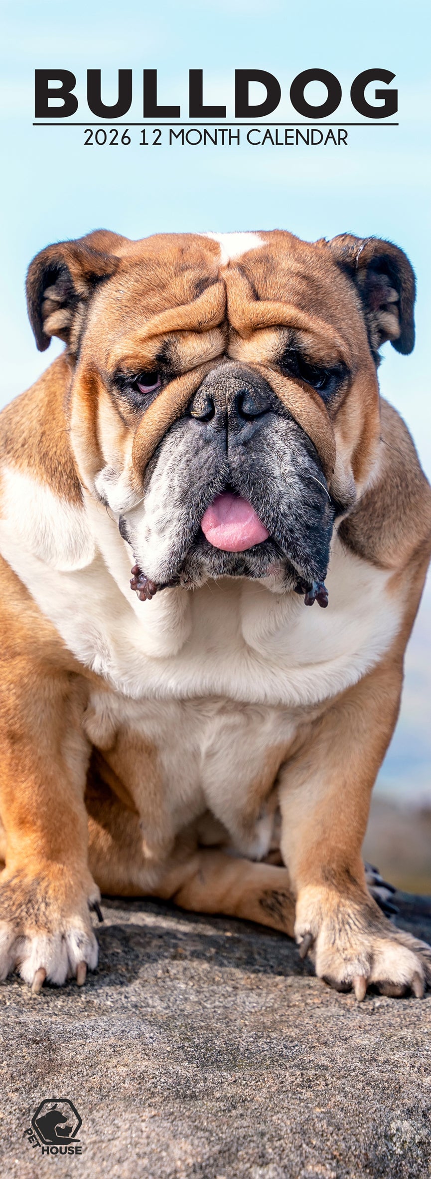 Bulldog - Slim Calendar 2026 – CalendarsRus