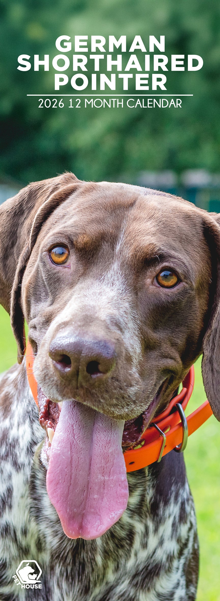 German Shorthaired Pointer - Slim Calendar 2026 – CalendarsRus