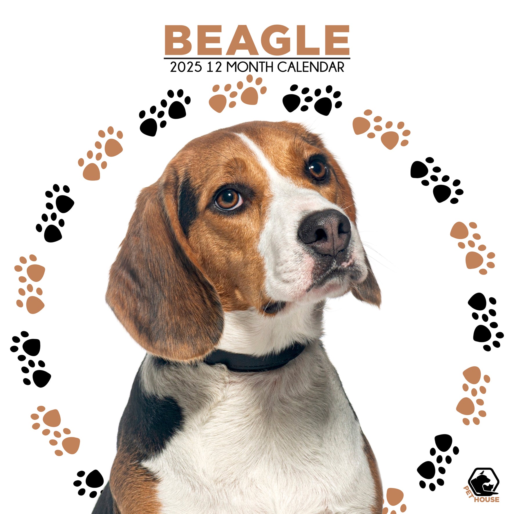 Beagle Calendar Square 2025 – CalendarsRus