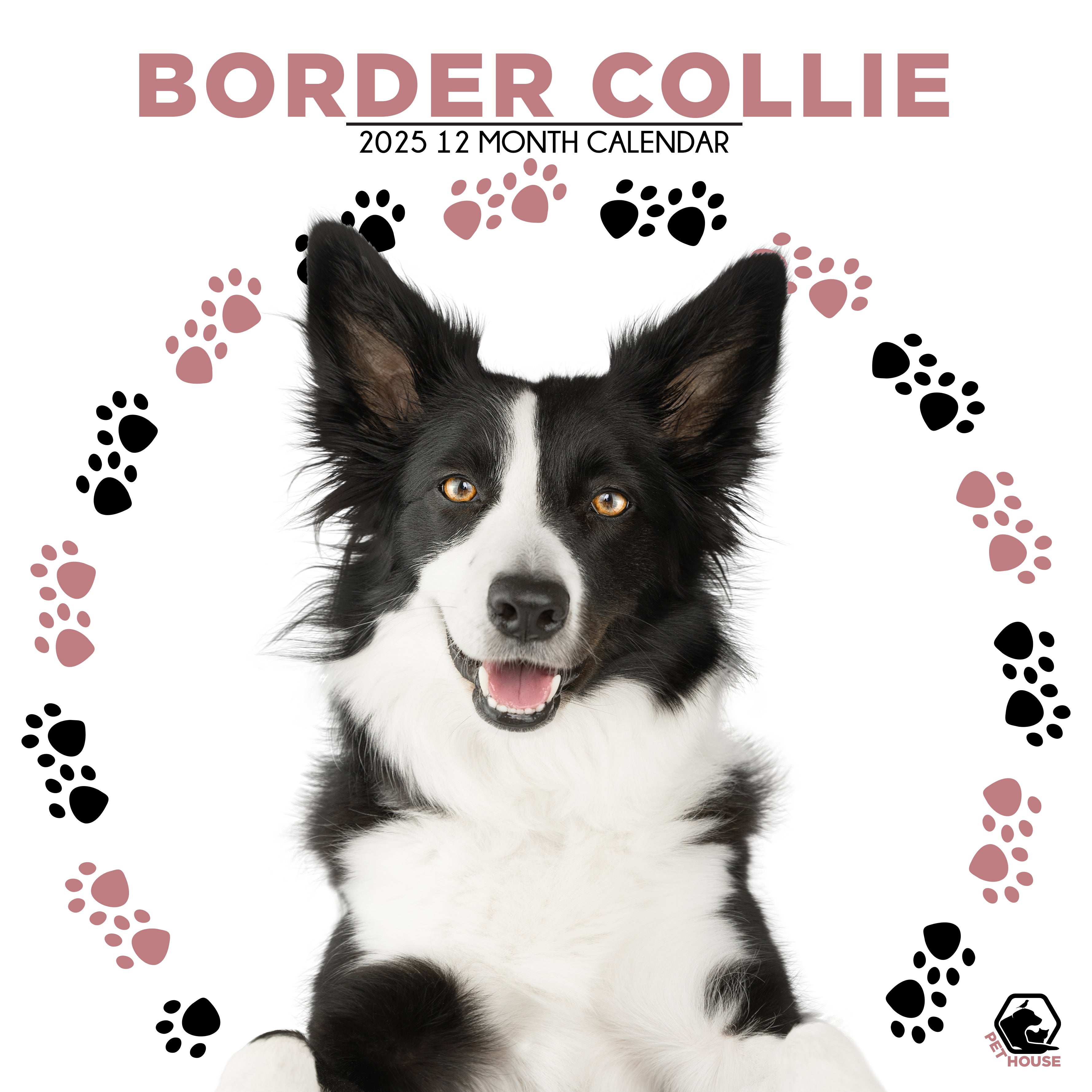 Border Collie Calendar Square 2025 – CalendarsRus