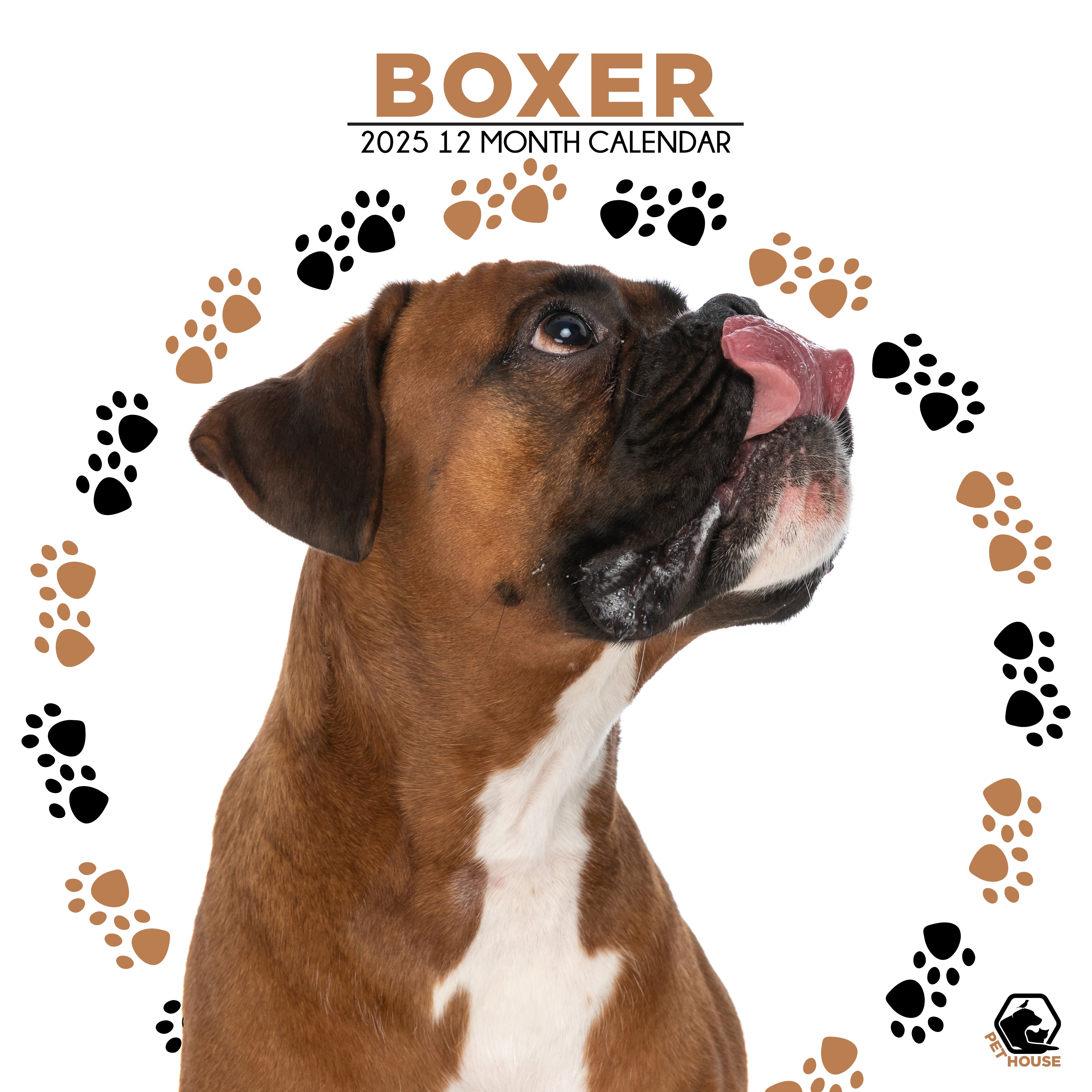 Boxer Calendar Square 2025 – CalendarsRus