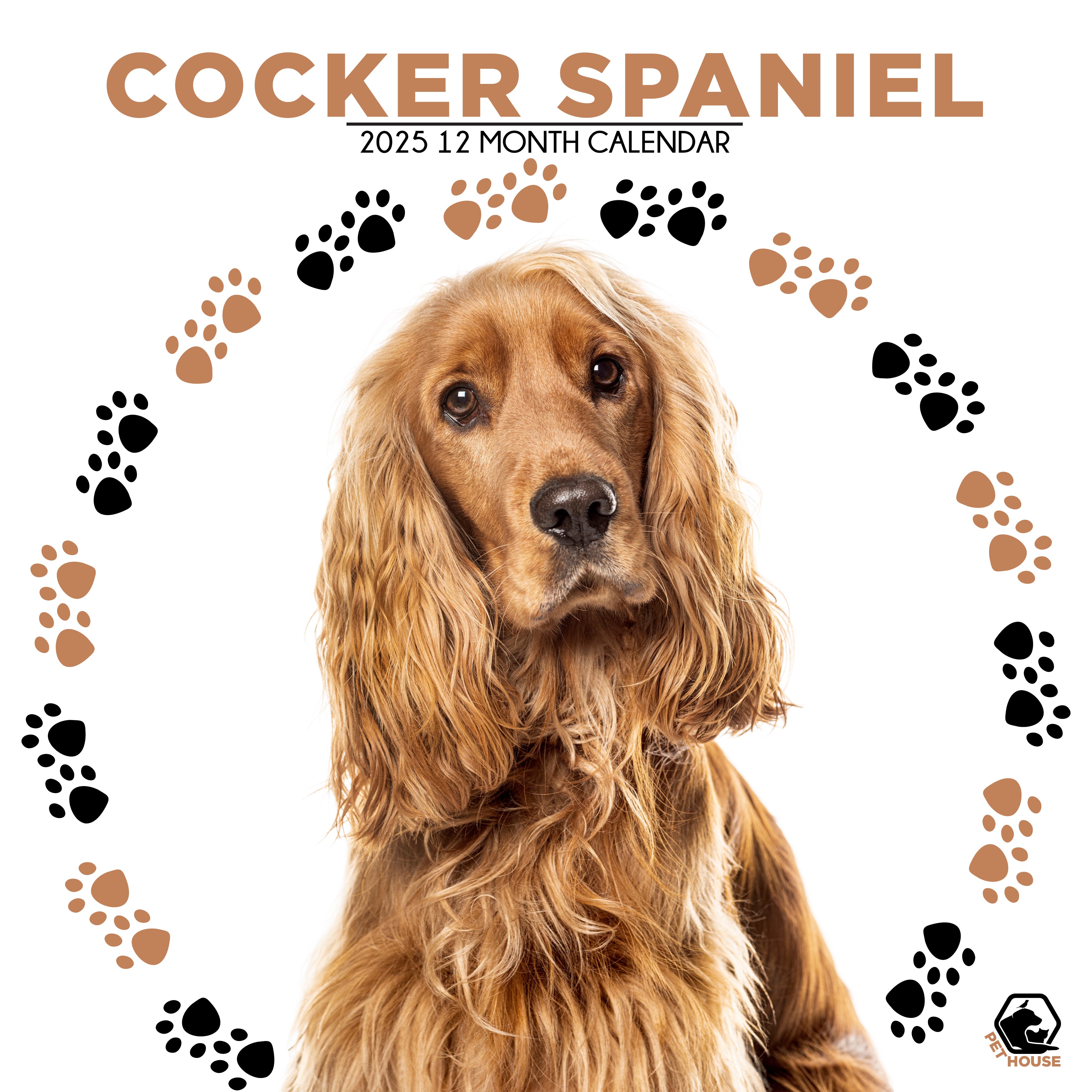 Cocker Spaniel Calendar Square 2025 – CalendarsRus