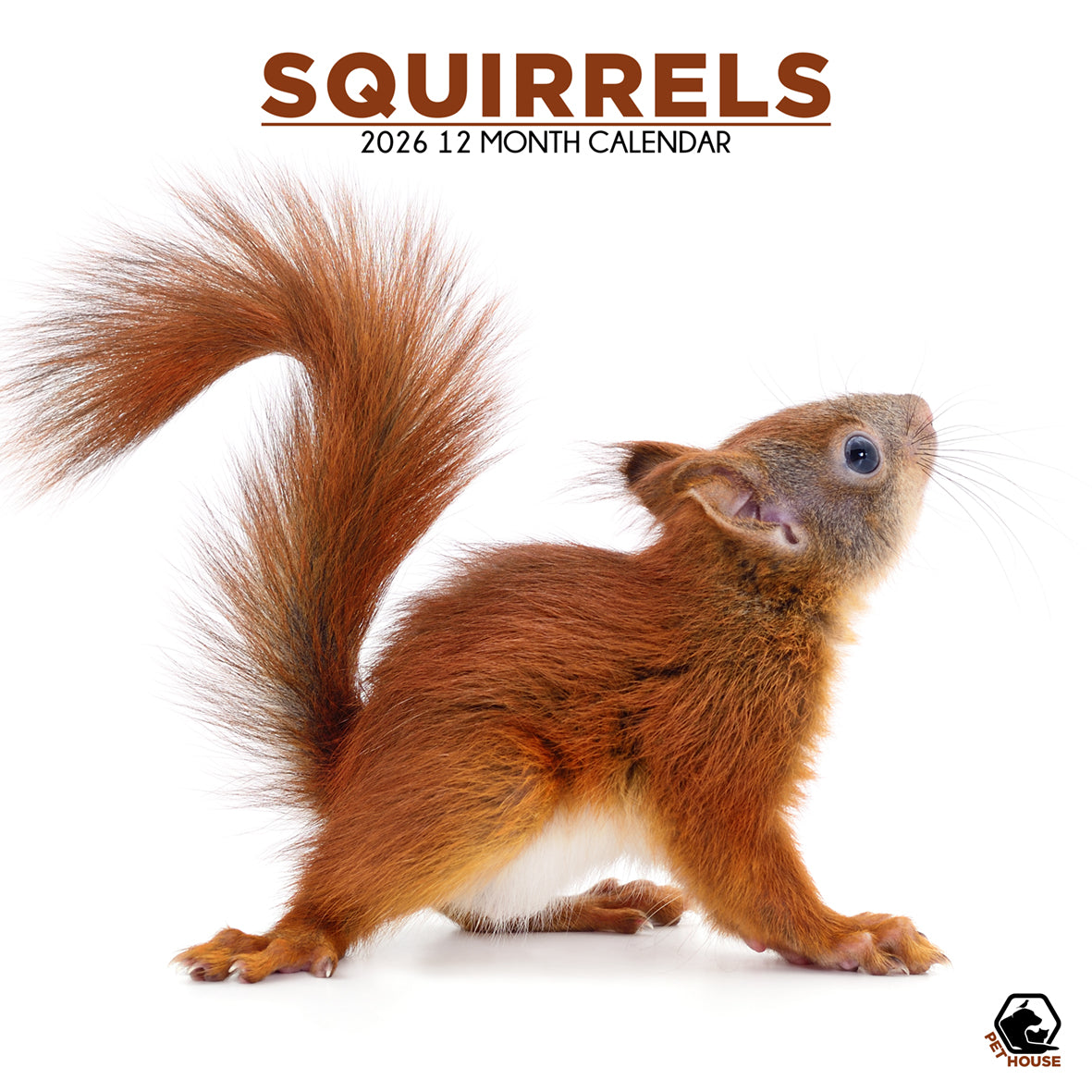 Squirrels - Square Calendar 2026 – CalendarsRus