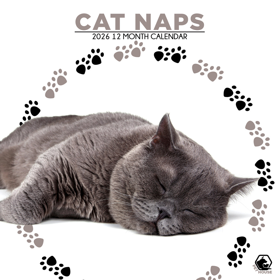 Cat Naps - Square Calendar 2026 – CalendarsRus