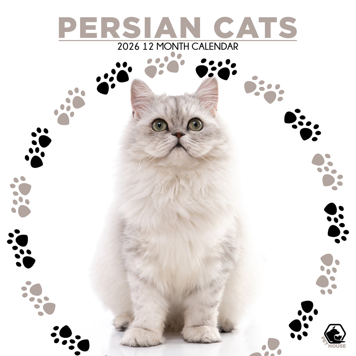 Persian Cats - Square Calendar 2026 – CalendarsRus