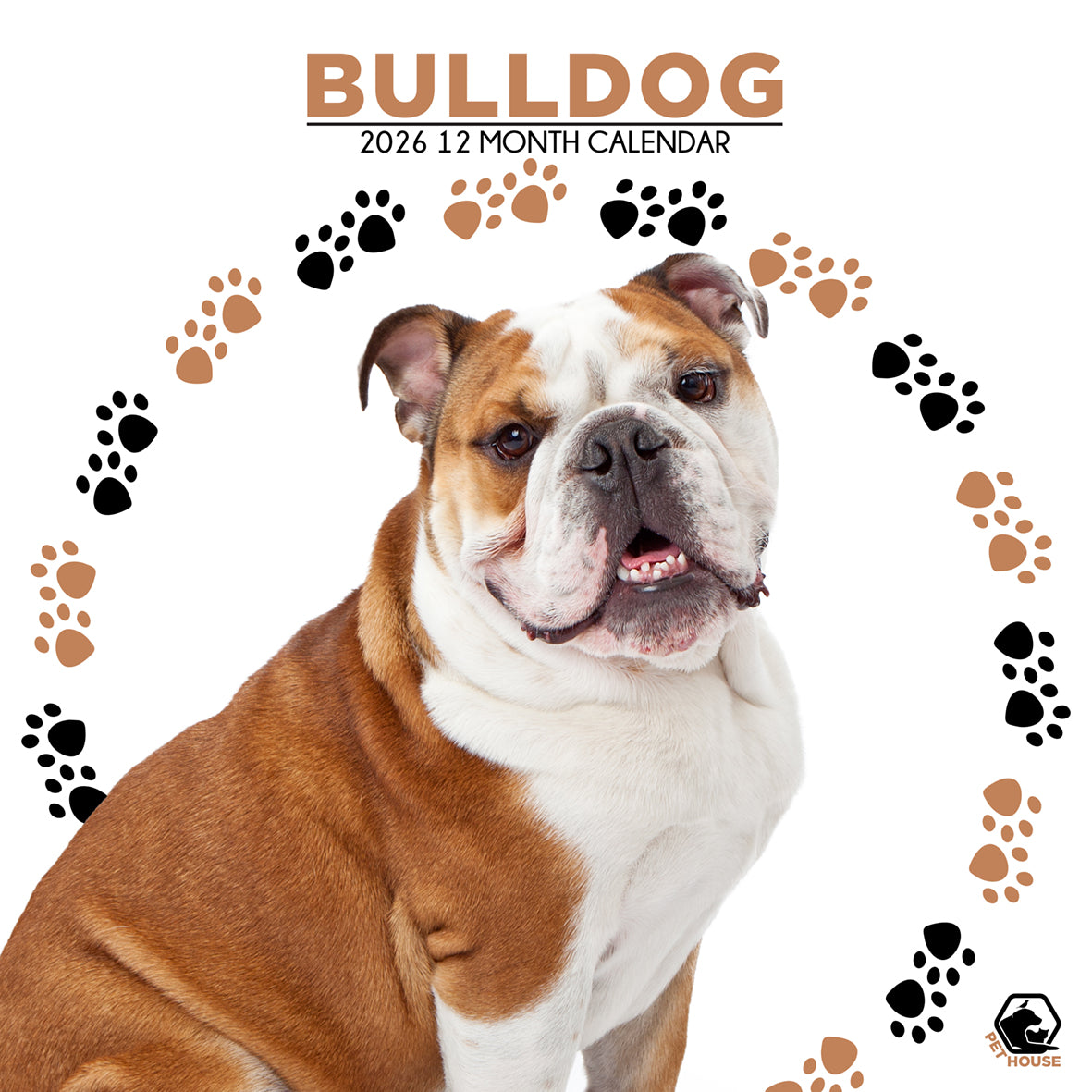 Bulldog - Square Calendar 2026 – CalendarsRus