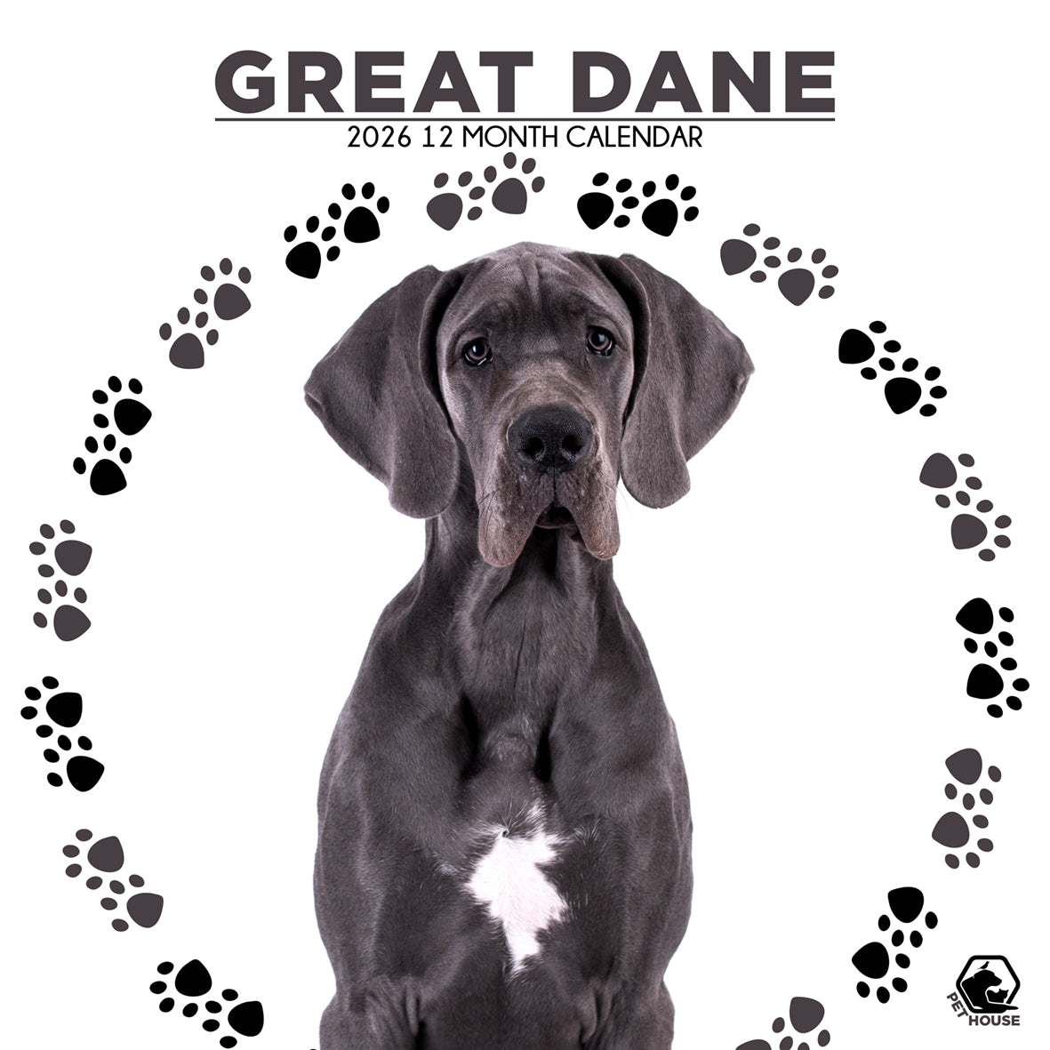Great Dane - Square Calendar 2026 – CalendarsRus