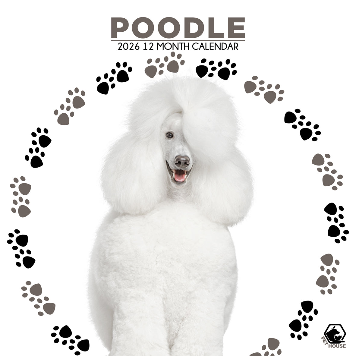 Poodle - Square Calendar 2026 – CalendarsRus