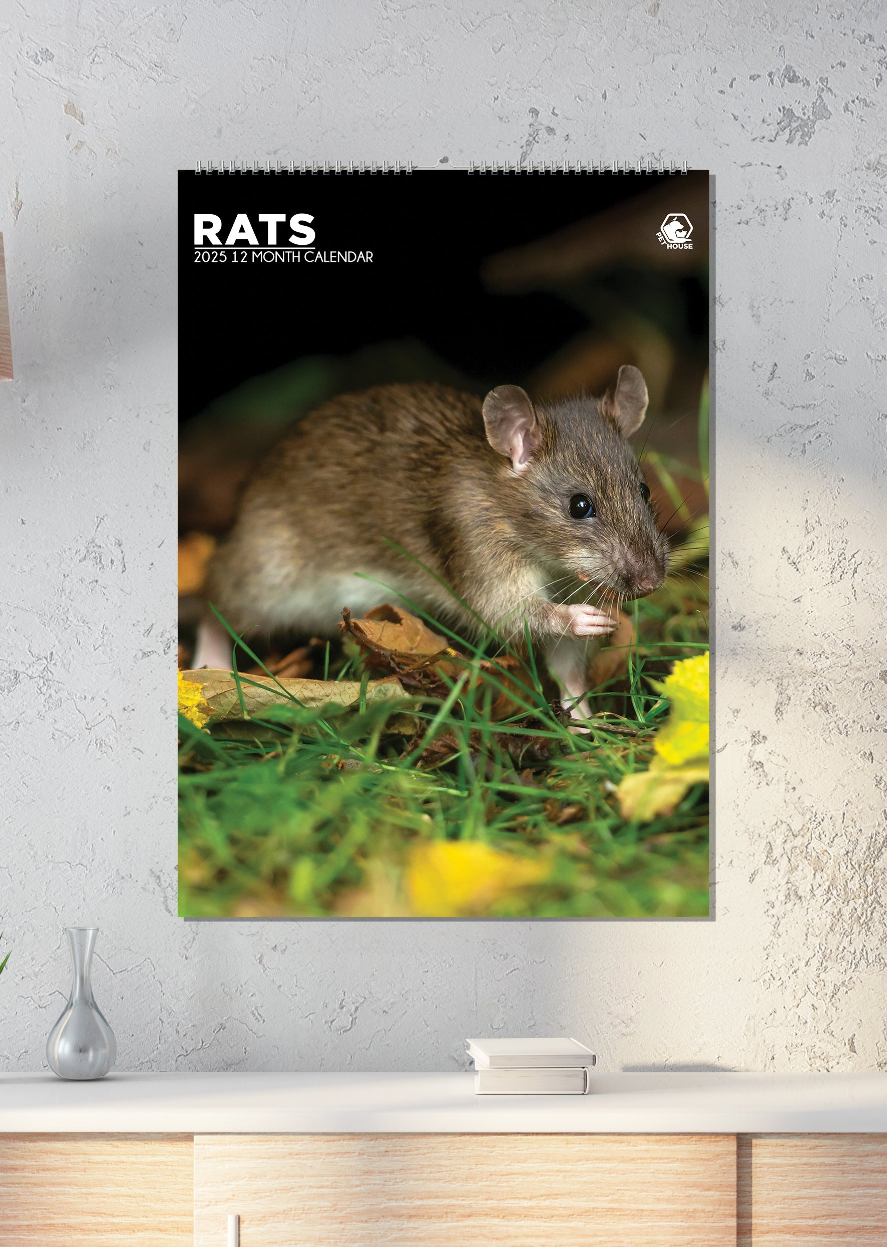 Rats Calendar 2025 – CalendarsRus
